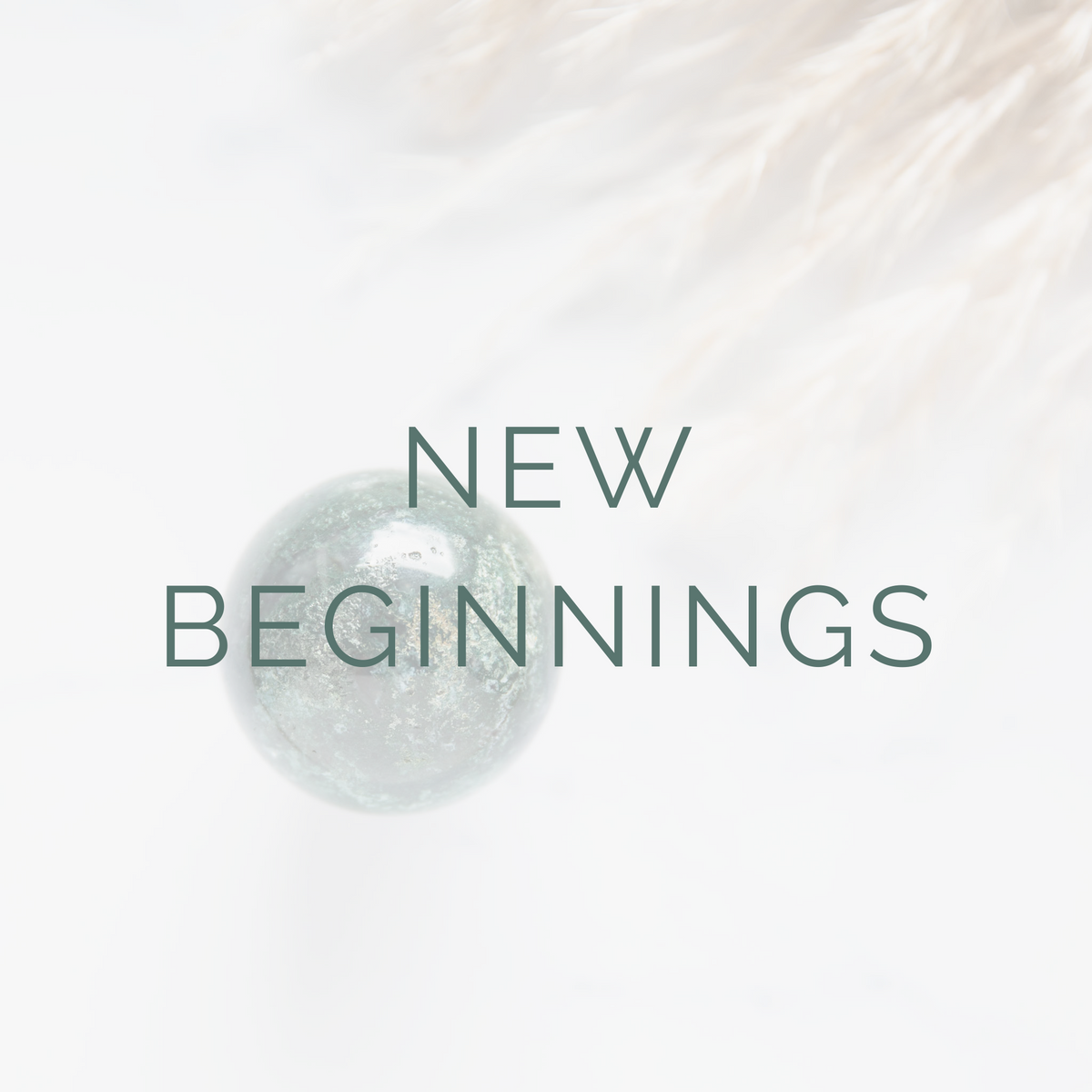 New Beginnings – Clarity Co.