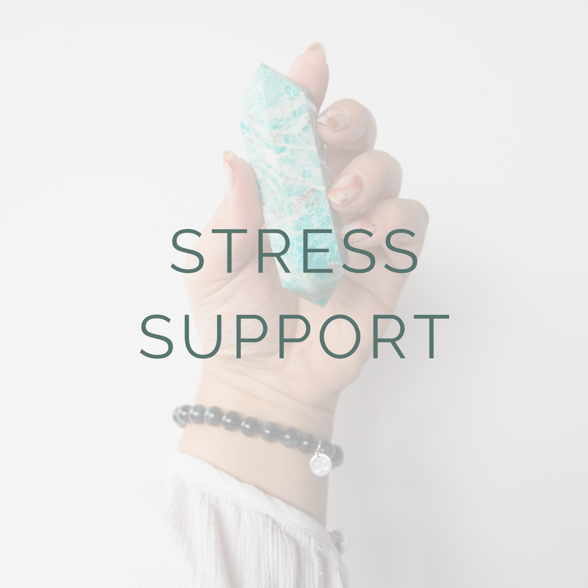 STRESS SUPPORT – Clarity Co.